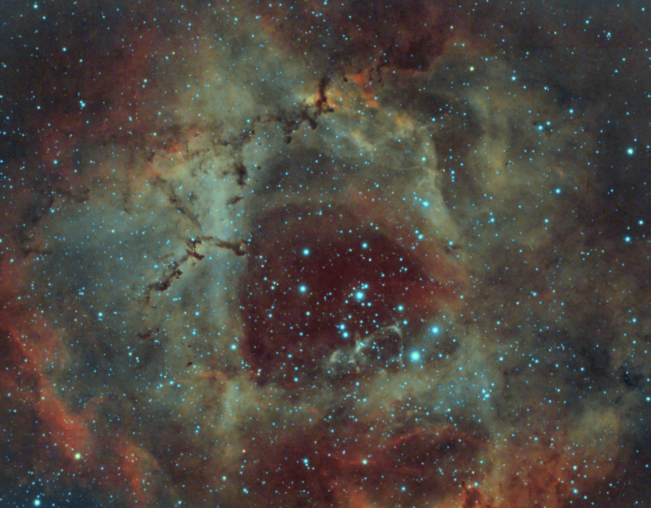The Rosette Nebula | Caleb Astro
