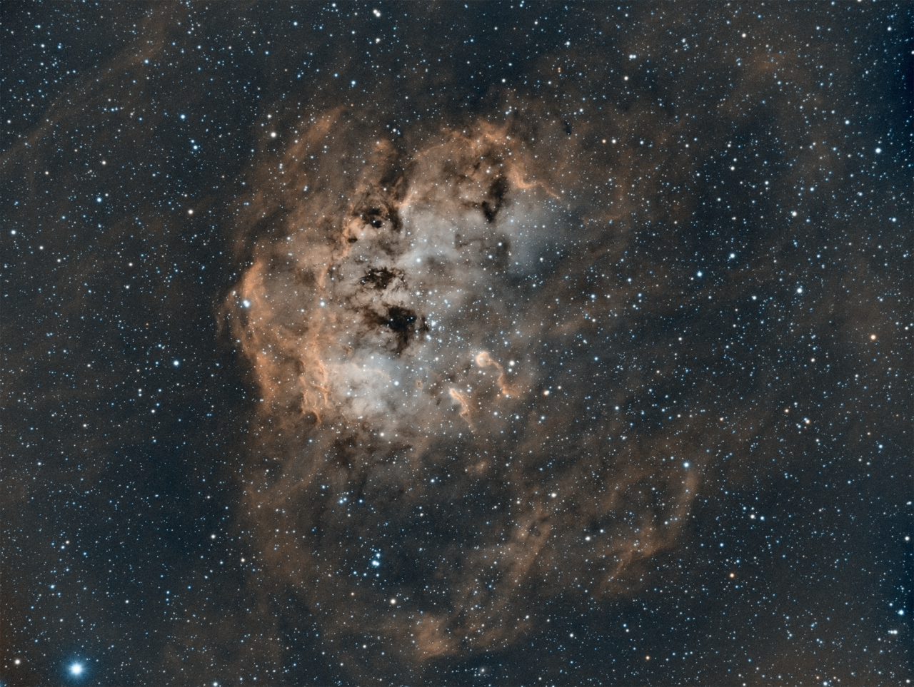 The Tadpole Nebula (IC 410) | Caleb Astro